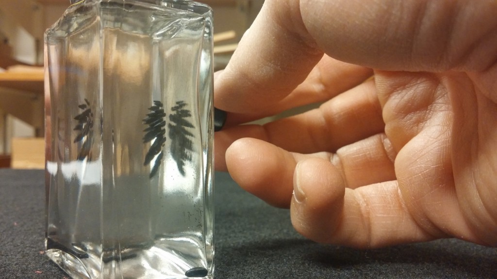 Ferrofluid | Swarthmore Physics Demonstrations
